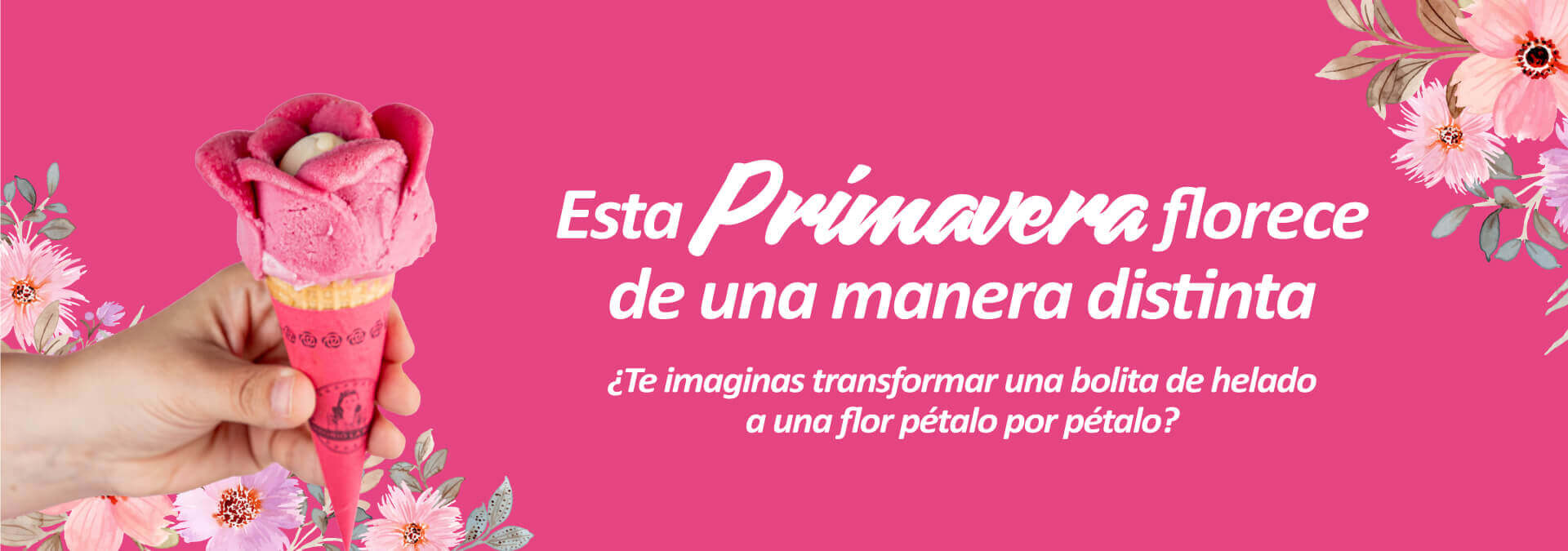 Emporio La Rosa | Helados Artesanales y Sabores Únicos